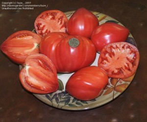 Portuguese Heirloom Tomato & Chick Pea Salad – Tia Maria's Blog